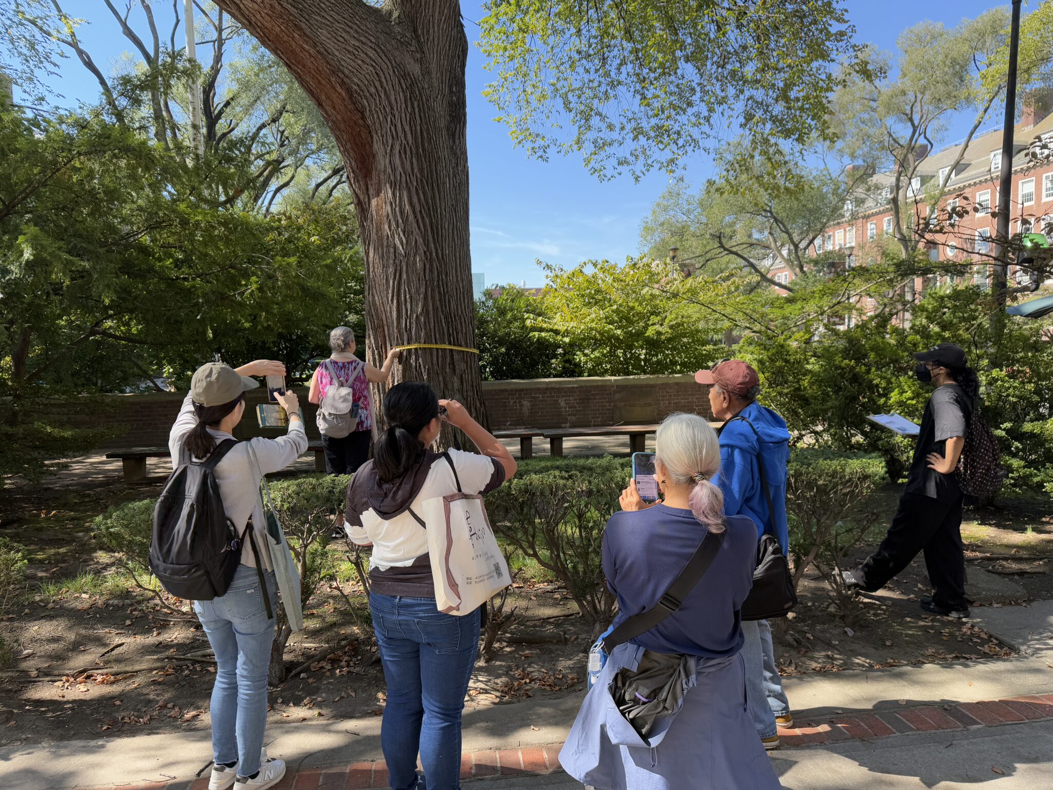 BC Holds First Tree Inventory in Almost 40 Years – The Brooklyn College ...